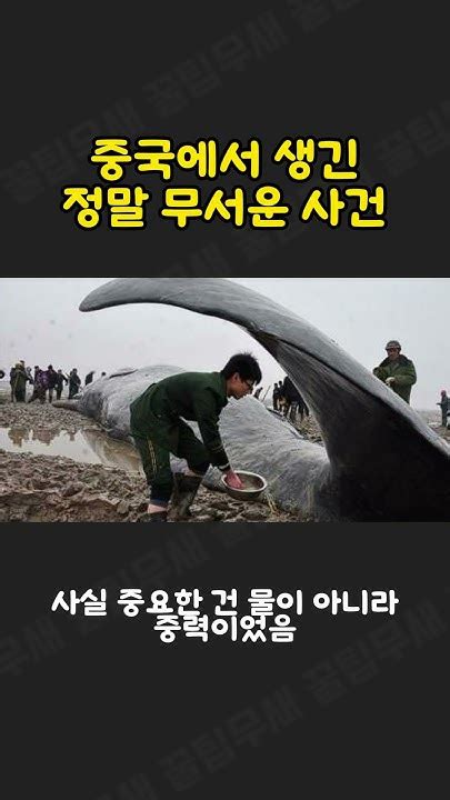 중국에서 생긴 정말 무서운 사건 Shorts Youtube