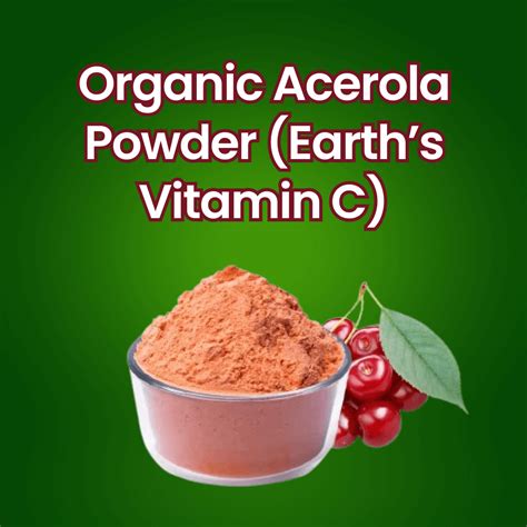 Organic Acerola Powder Earths Vitamin C Wholesale Health Food