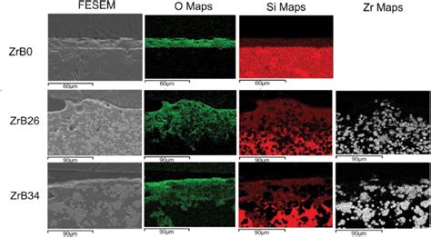Field Emission Scanning Electron Microscope Fesem Images And Download Scientific Diagram