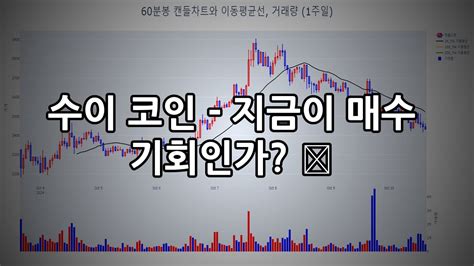 수이 코인 지금이 매수 기회인가 📈 Youtube
