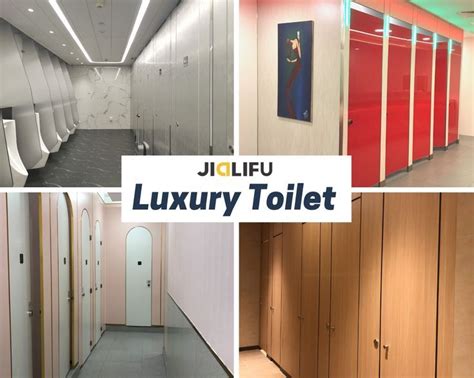 Luxury Toilet Partitions Stylish Designs For Your Bathroom