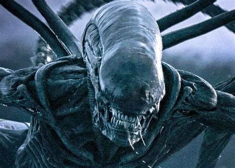 Ini Timeline Film Alien Romulus Greenscene