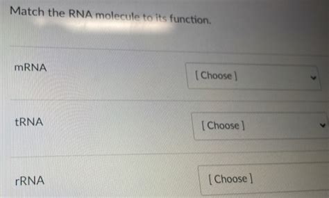 Solved Match The Rna Molecule To Its Function Mrna [ Choose ] Trna [ Choose ] Rrna [ Choose