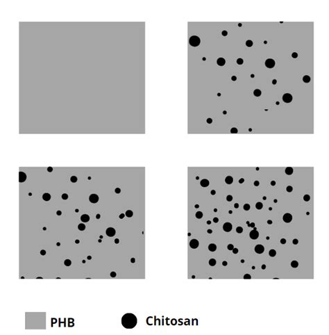 Schematic Representation Of The Distribution Of Chitosan Hydrophilic Download Scientific
