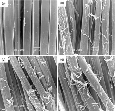 Sem Of Silk Fabrics From Different Dyeing Methods A Undyed Silk B Download Scientific