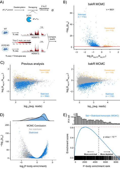 Bakr Provides An Improved Statistical Foundation To Identify Biological Download Scientific
