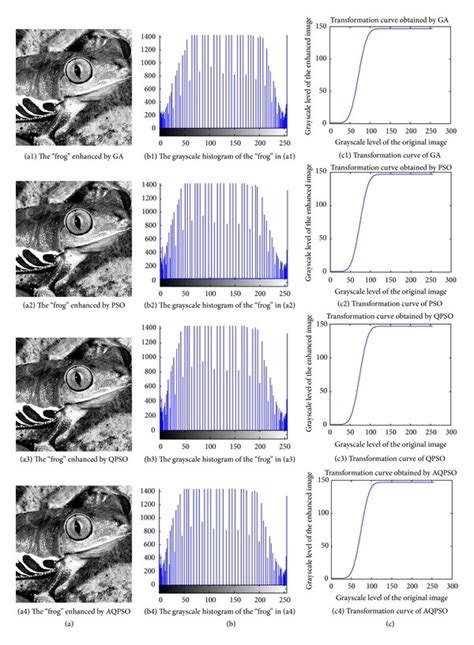The Comparison Of Enhancement Using Ga Pso Qpso And Aqpso For “frog