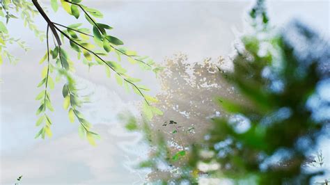 The Tree House Ronen Bekerman 3d Architectural Visualization And Rendering Blog