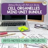 Microscope Introduction PowerPoint And Handouts Distance Digital Lesson