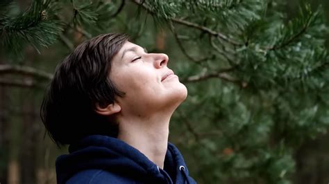 Woman Relaxing Under Pine Tree Vídeo De Stock Premium