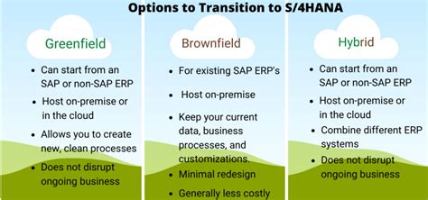 Greenfield Brownfield Hybrid S 4hana Conversion Options Experts In Sap Ariba Consulting