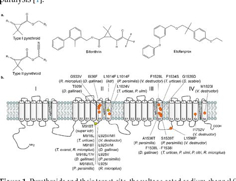 Figure 1 From High Resolution Genetic Mapping Combined With