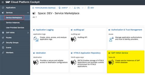setting up the new hana service in sap cloud platf sap community