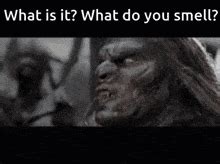 Man Flesh Orc  Man Flesh Orc Lotr Discover And Share S