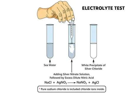 Electrolytes Test Type Price Purpose And Normal Levels Credihealth