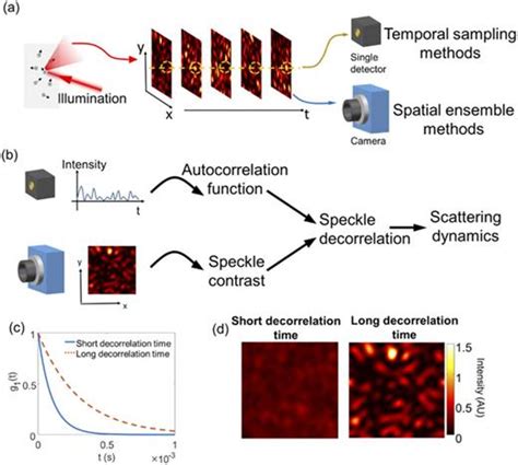 Erratum Diffusing Wave Spectroscopy A Unified Treatment On Temporal Sampling And Speckle