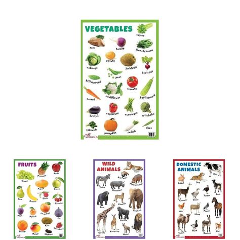 Vegetables Thick Laminated Primary Chart Fruits Thick Laminated Primary