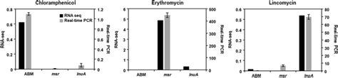 Validation Of Rna Sequencing Data By Quantitative Real Time Pcr