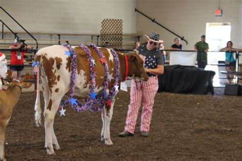 2025 4 H Dairy Cow Costume Contest Camera Corps Flickr