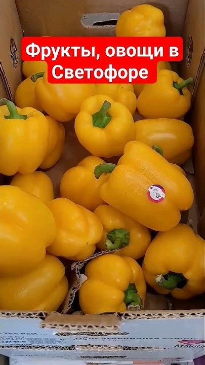 Овощи фрукты в Светофоре июнь 2023 Youtube