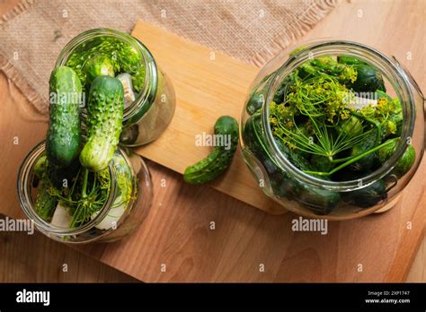 Preparation For Fermenting Cucumbers By A Process Of Pickling Called Lactic Acid Fermentation