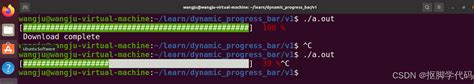 Linux 实现终端动态进度条记录linux的stdout屏幕输出进度条前端怎么展示 Csdn博客 Linux 实现终端动态进度条记录linux的stdout屏幕输出进度条前端怎么展示 Csdn博客