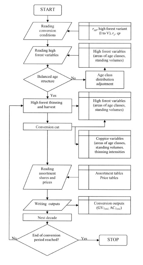 Flow Diagram Of The Conversion Model Download Scientific Diagram