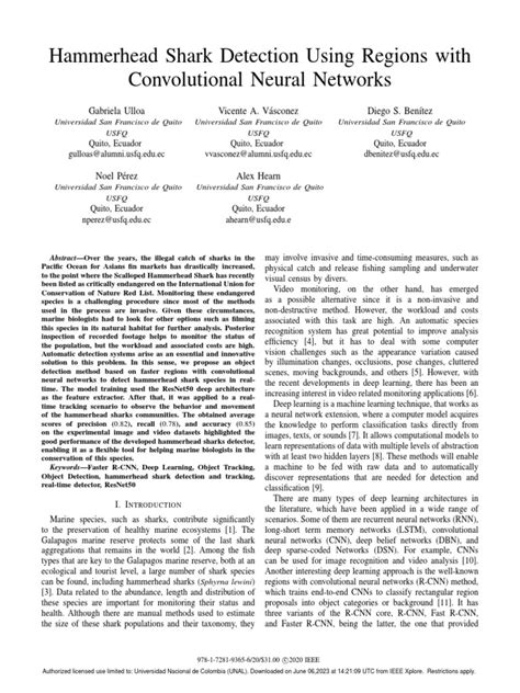 Hammerhead Shark Detection Using Regions With Convolutional Neural Networks Pdf Deep