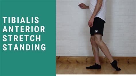 Anterior Tibialis Stretch