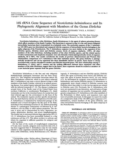16s Rrna Gene Sequence Of Neorickettsia Helminthoeca And Its