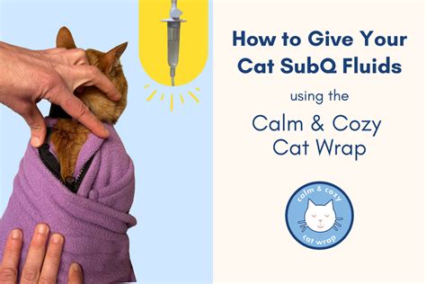 How To Administer Subq Fluids At Home Using The Calm And Cozy Cat Wrap