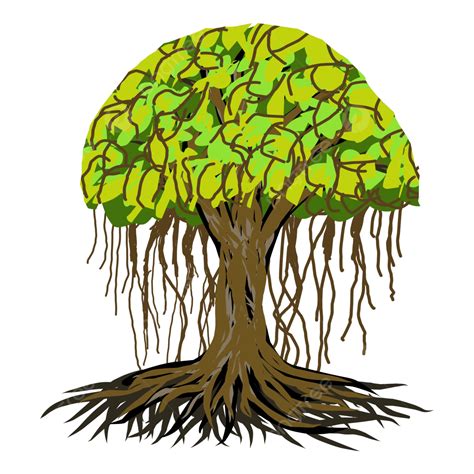 Best 12 Banyan Tree Vector Illustrations Hand Drawn Art Banyan Tree Roots Plant Png And