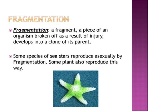 Unit 4 Reproduction Chapter 5 Ppt Download
