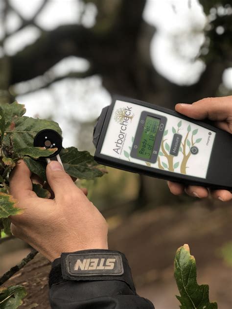 Tree Health Care Services Down To Earth Trees Ltd