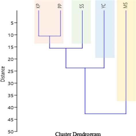 cluster dendrogram of five b frerei accessions generated from 32