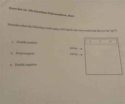 Solved Exercise 12 Alu Insertion Polymorphism Start