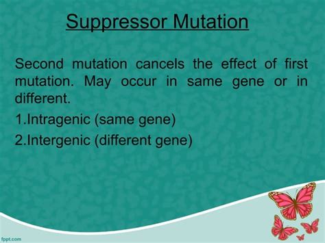 Directed Evolution Ppt