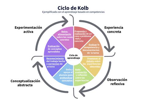 Todo Sobre La Teoría De Kolb Y Su Impacto En El Aprendizaje