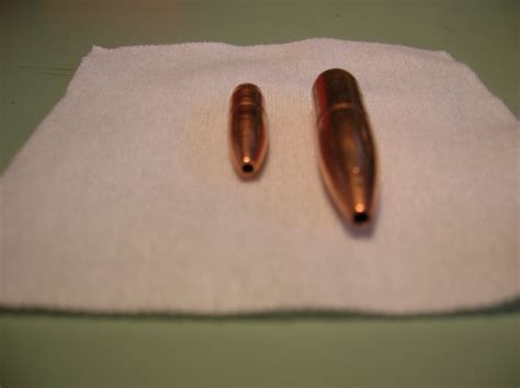 556 Loads With Ramshot Tac And X Terminator Powders Reloading