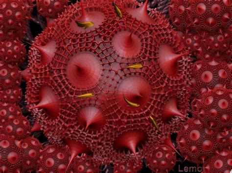 Great First Day Z ZBrushCentral