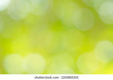 Blur Green Bokeh Nature Background Stock Photo 2243005355 | Shutterstock