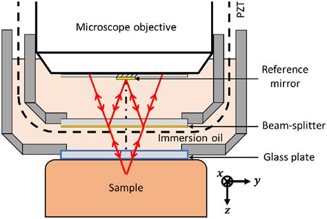 Detailed Schematic Of The Mirau Interferometer The Red Lines Represent