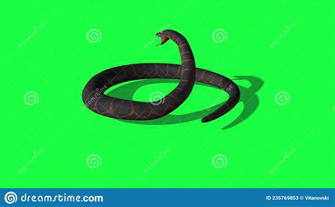 3d Illustration Of Python Online Course Advertisement Python Language E Learning Banner For
