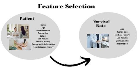 Brainalyst On Linkedin Datascience Featureselection Medical Impact Insights