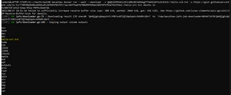 V And U Flags Dont Work Together · Issue 533 · Bacalhau Project