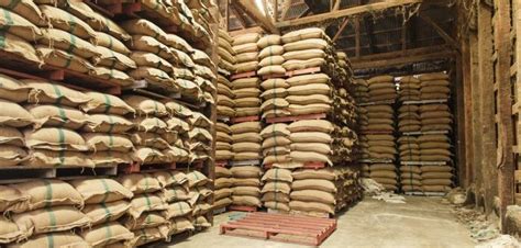 Best Practices For Corn Supply Chain Management