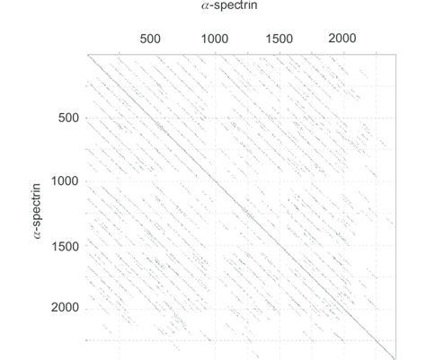 Dot Matrix Comparison Of Human Erythrocyte A Spectrin With Itself