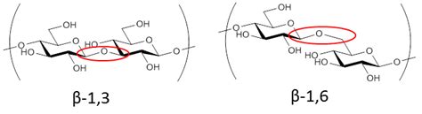 Beta Glucan Improves Immune System Immunoshield