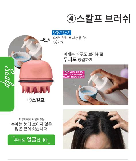 헤어브러쉬 패들 디탱글러 블랙 헤어브러쉬 드라이 빗 극손상모 두피 마사지 머리빗 오늘의집 쇼핑