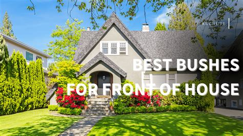 Who Makes Generac Engines Everything You Need To Know Archute